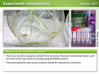 Root phenotyping system | PDF