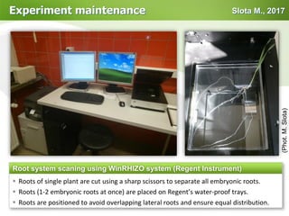 Root phenotyping system | PDF