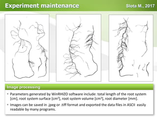 Root phenotyping system | PDF