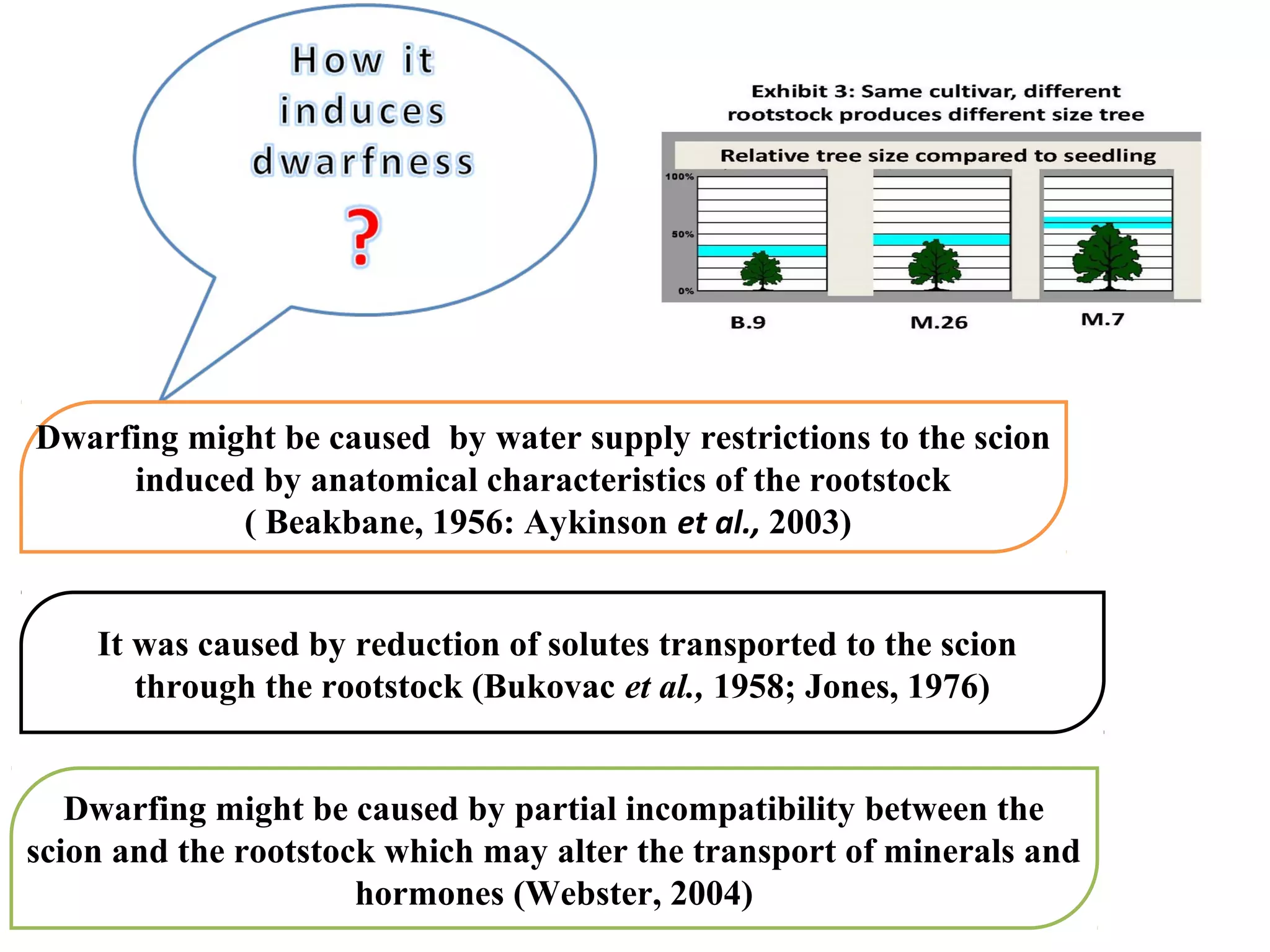 Rootstock | PPT