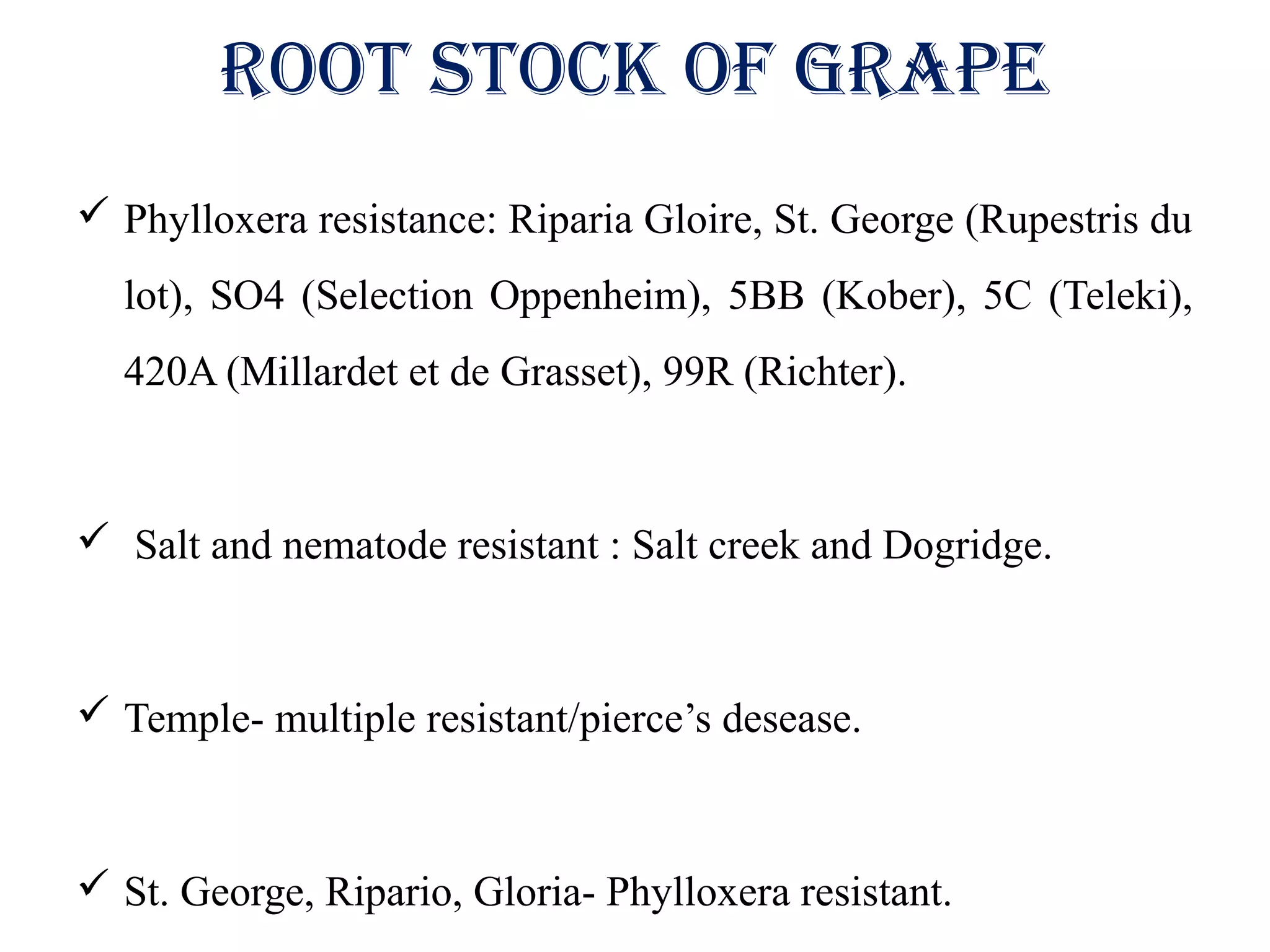 Rootstock | PPT