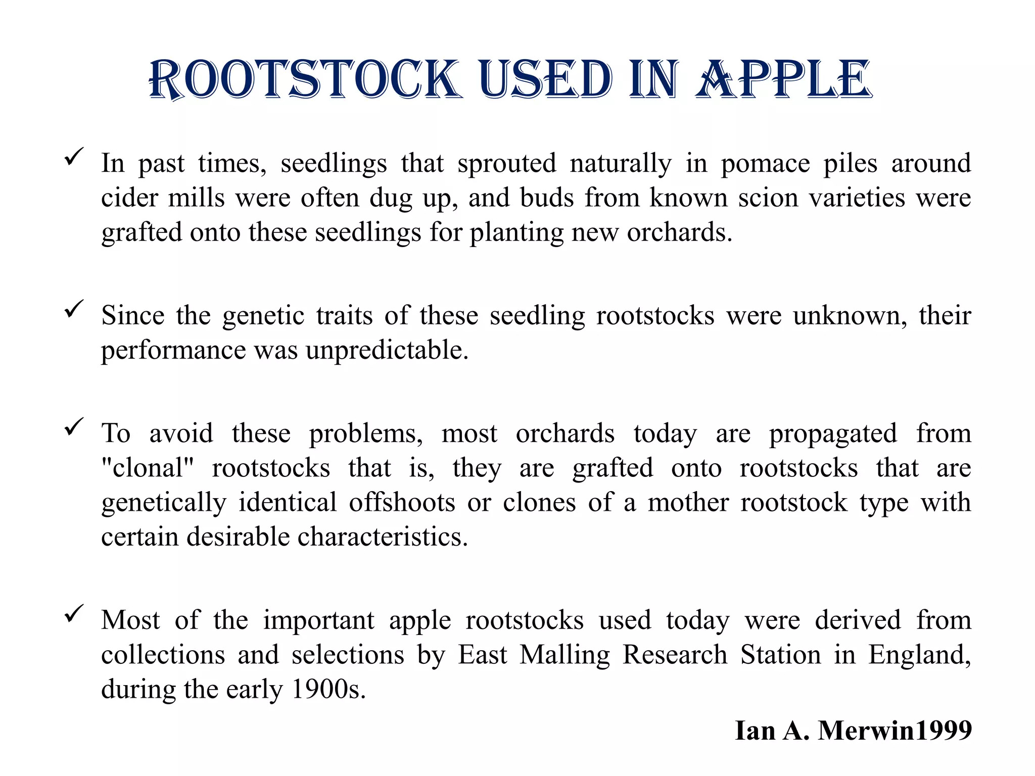 Rootstock | PPT