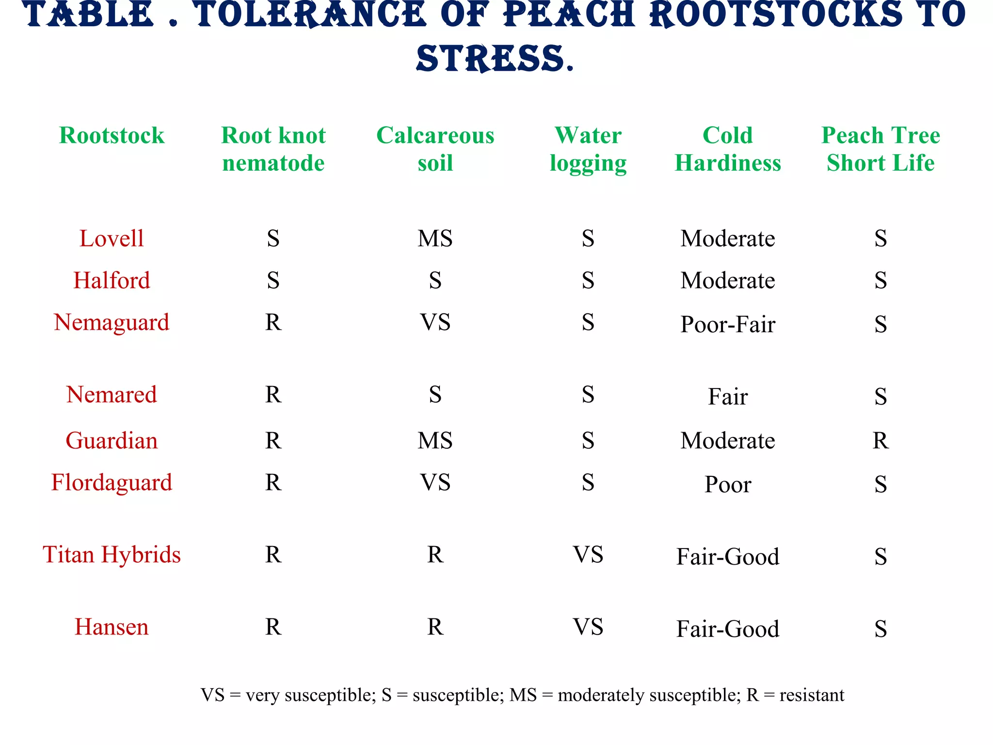Rootstock | PPT