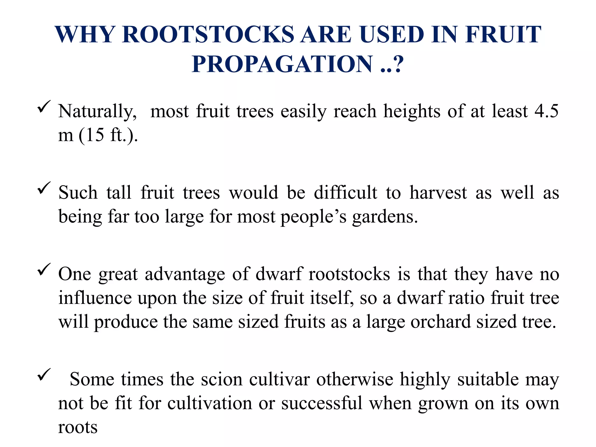 Rootstock | PPT
