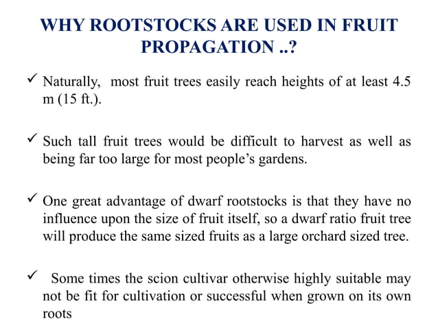 Rootstock | PPT | Agriculture | Industries
