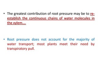 transport in plants chapter 11 - ncert | PPTX