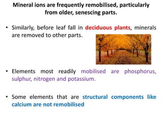 transport in plants chapter 11 - ncert | PPTX