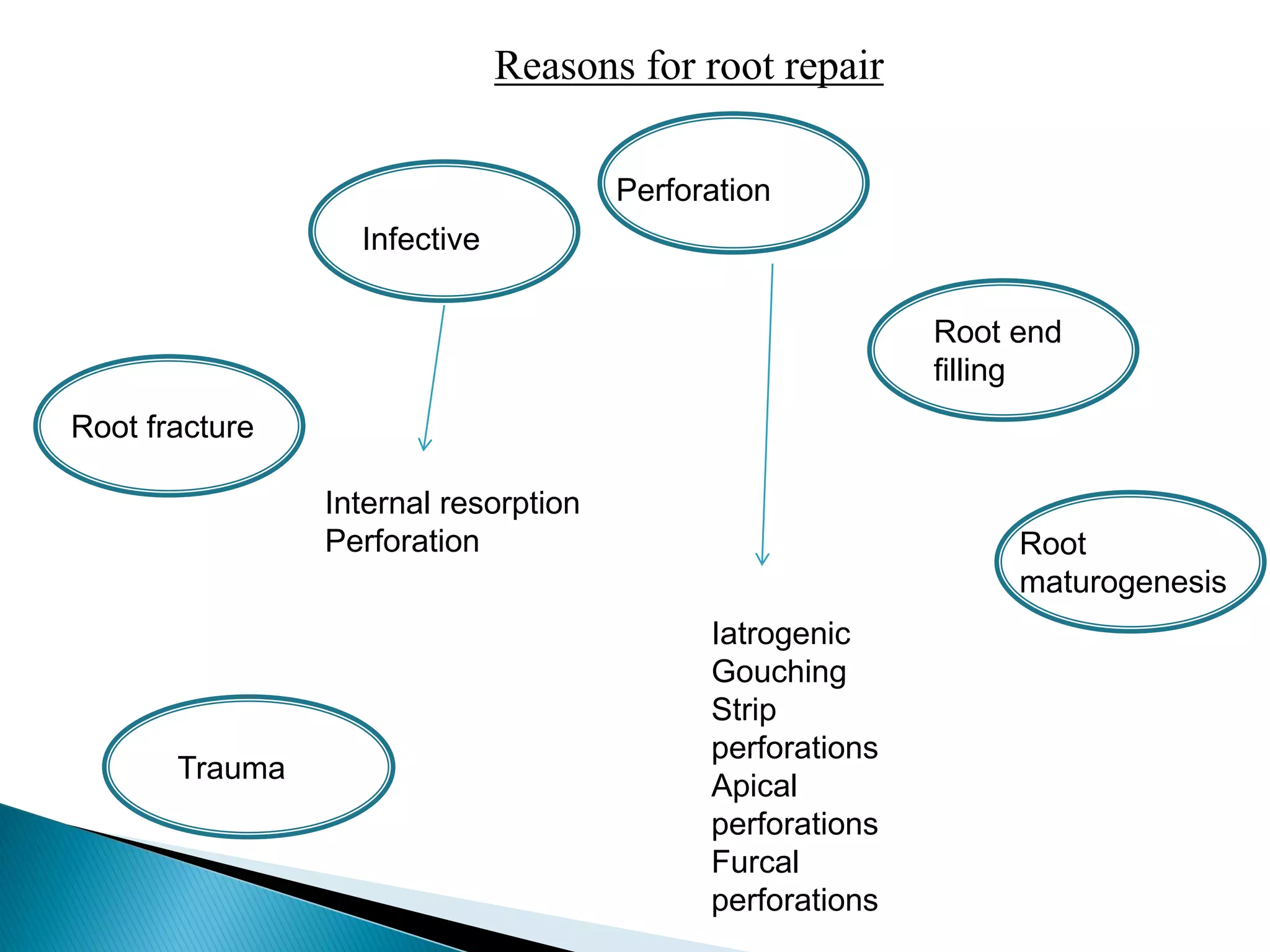 Root repair materials | PDF