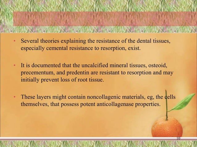 ROOT RESORPTION IN ORTHODONTICS | PPT | Bone and Joint Conditions ...