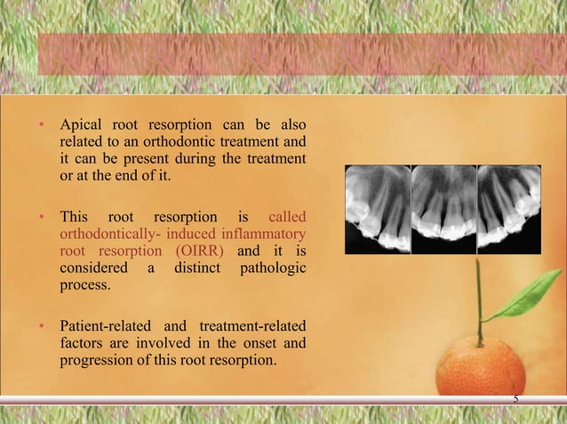 ROOT RESORPTION IN ORTHODONTICS | PPT | Bone and Joint Conditions ...