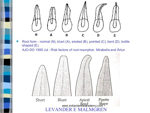 Root resorption final1