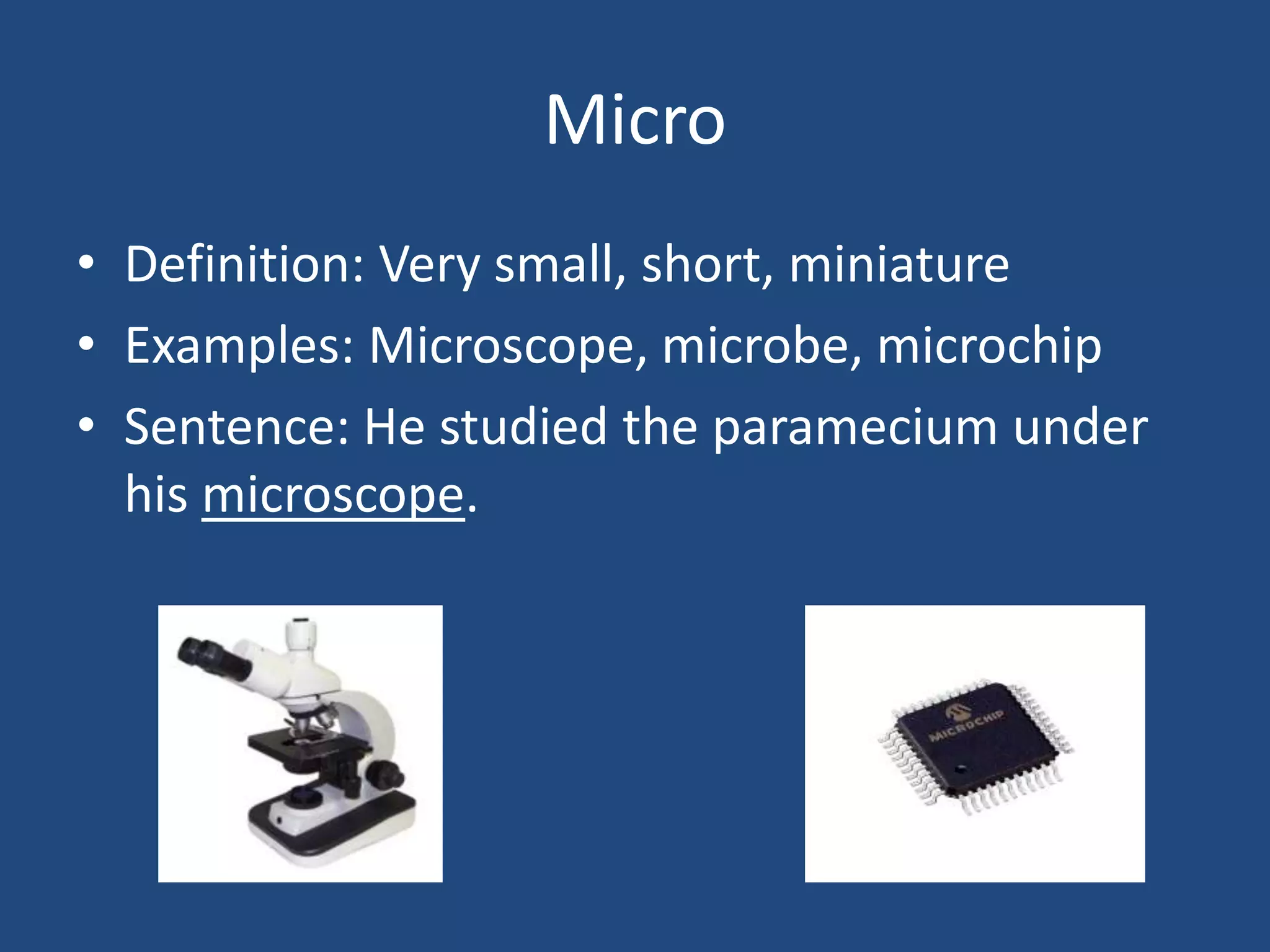 Rootr word ppt | PPTX