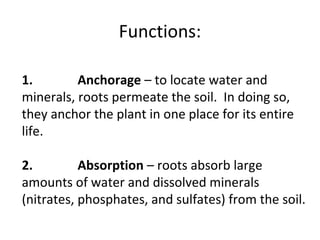 Roots | PPT