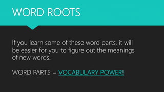 English Word Roots to Improve Your Vocabulary | PPTX