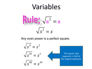 Roots and radical expressions | PPT