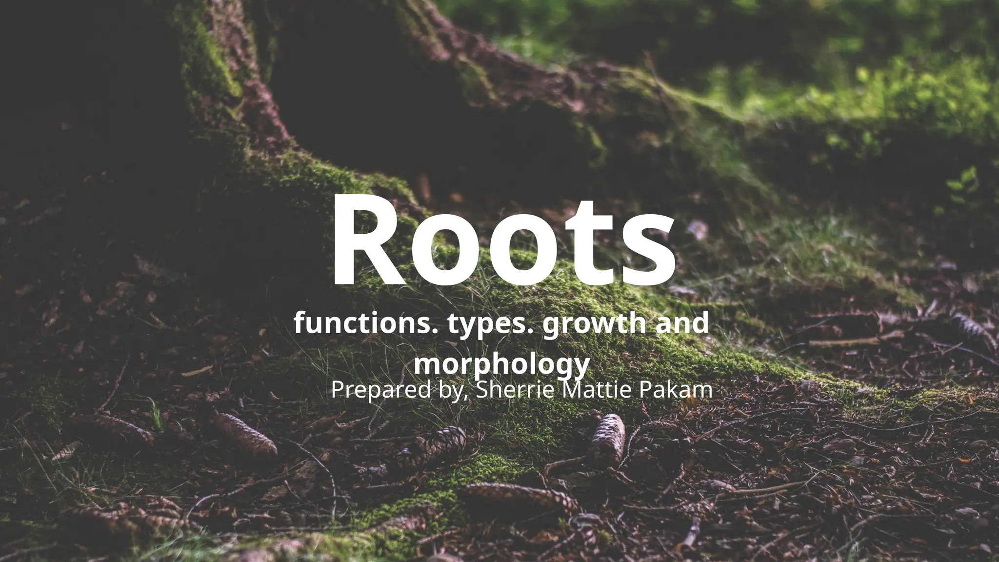 Roots and it's types: taproot, fibrous, and adventitious roots | PPTX