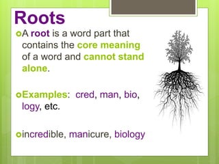 roots-and-affixes.pptx