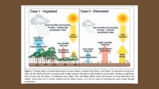 ROOTS-AND-EFFECTS-OF-DEFORESTATION-IN-THE-PHILIPPINES_20241001_220412 ...