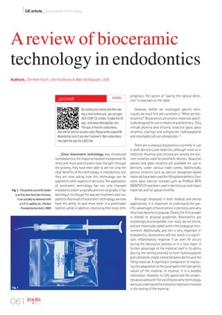 Roots International Magazine of Endodontology | PDF