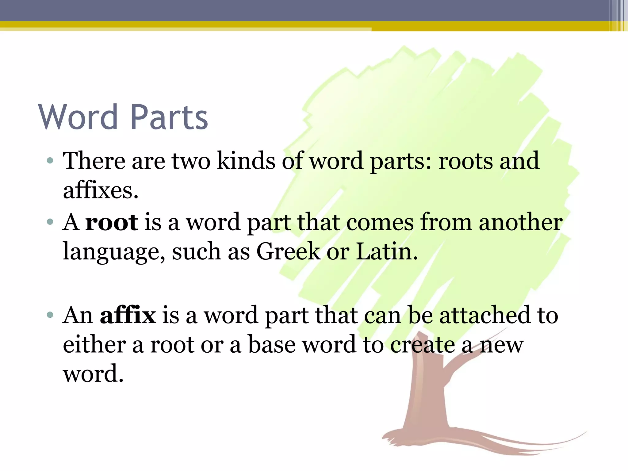 Roots and affixes | PPT