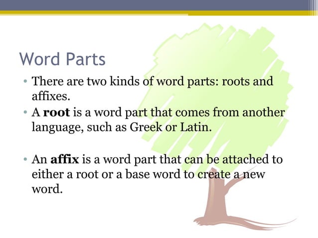 Roots and affixes | PPT