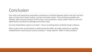 Roots and mycorrhiza in plantation ecosystem | PPTX