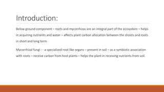 Roots and mycorrhiza in plantation ecosystem | PPTX