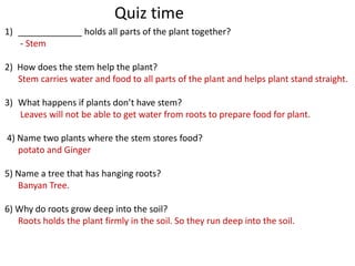 Plants, Roots and stem | PPT