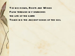 Roots and wings | PPS