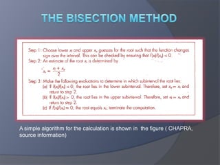 Roots equation | PPT