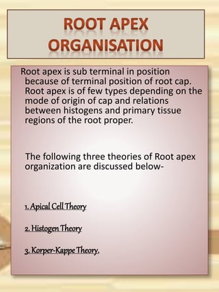ROOT APEX | PPTX | Gardening | Home & Garden