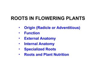 roots_in_flowering_plants Physiology.pptx