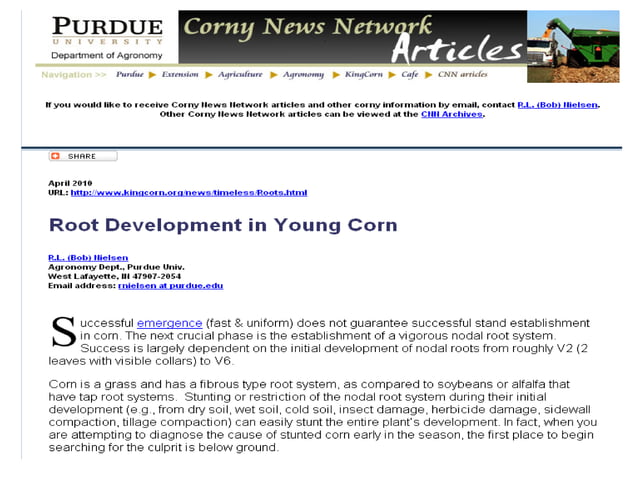 Updated Roots presentation | PPT | Free Download