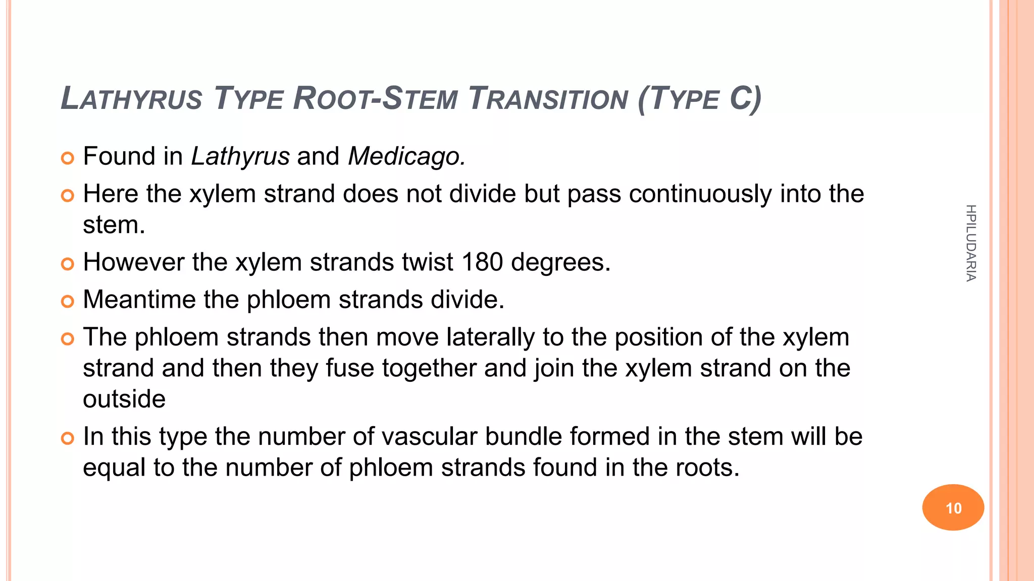 Root stem transition | PPTX