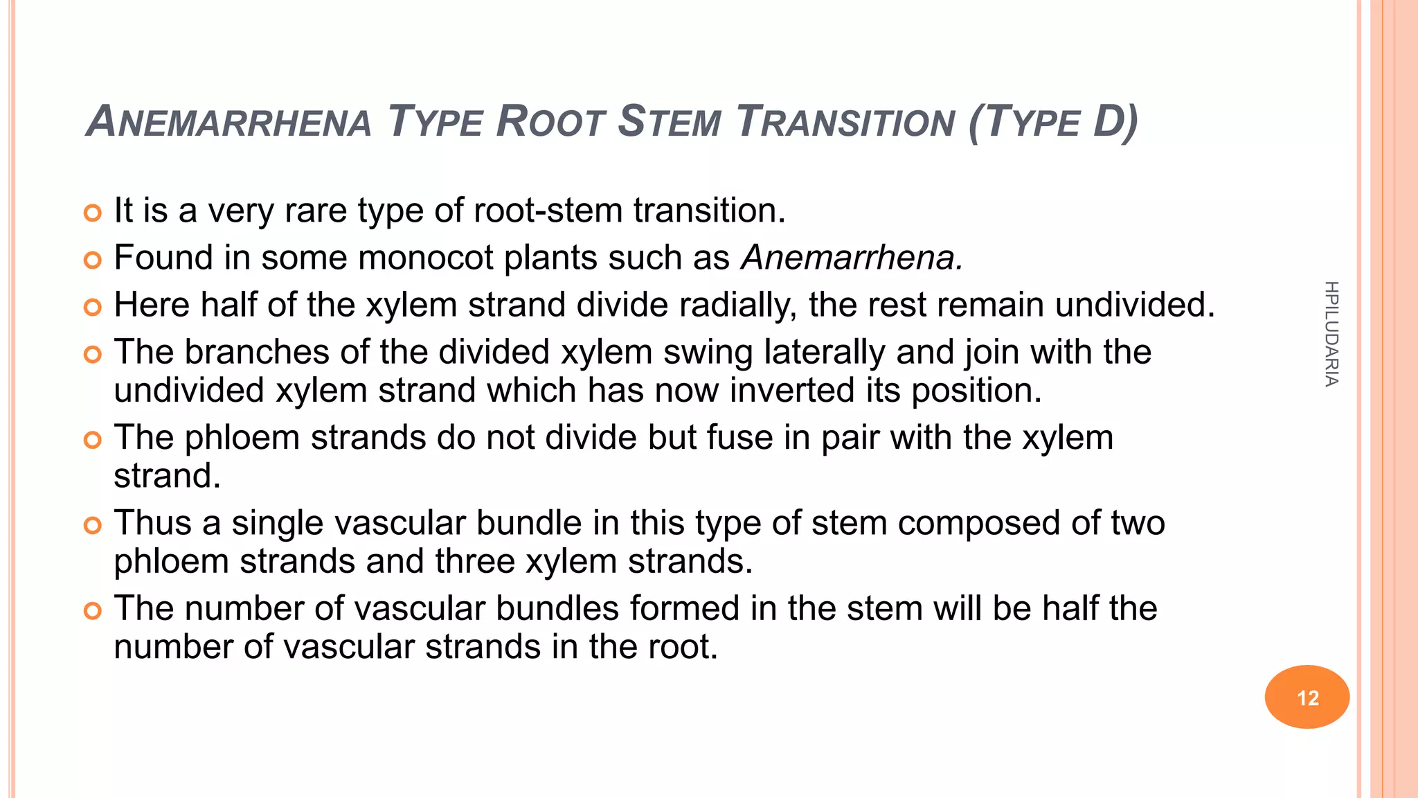Root stem transition | PPTX