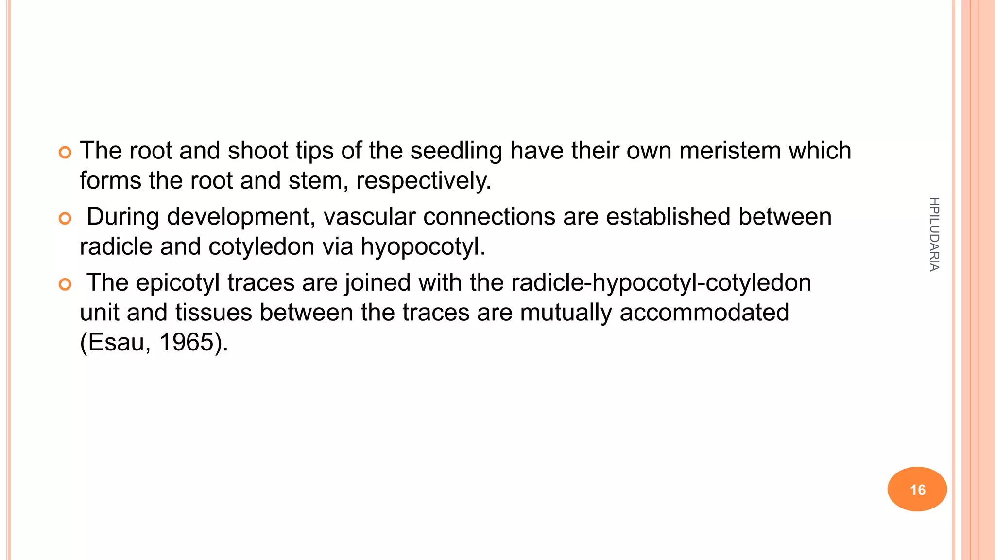 Root stem transition | PPTX