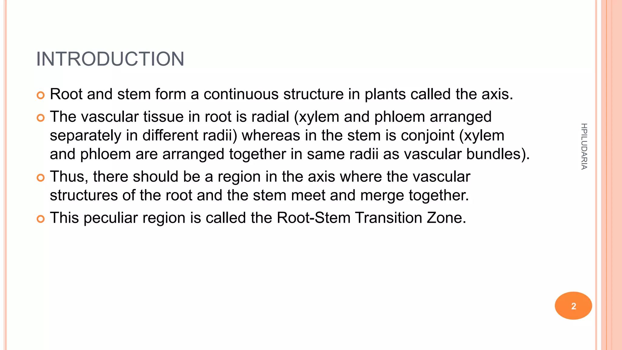 Root stem transition | PPTX