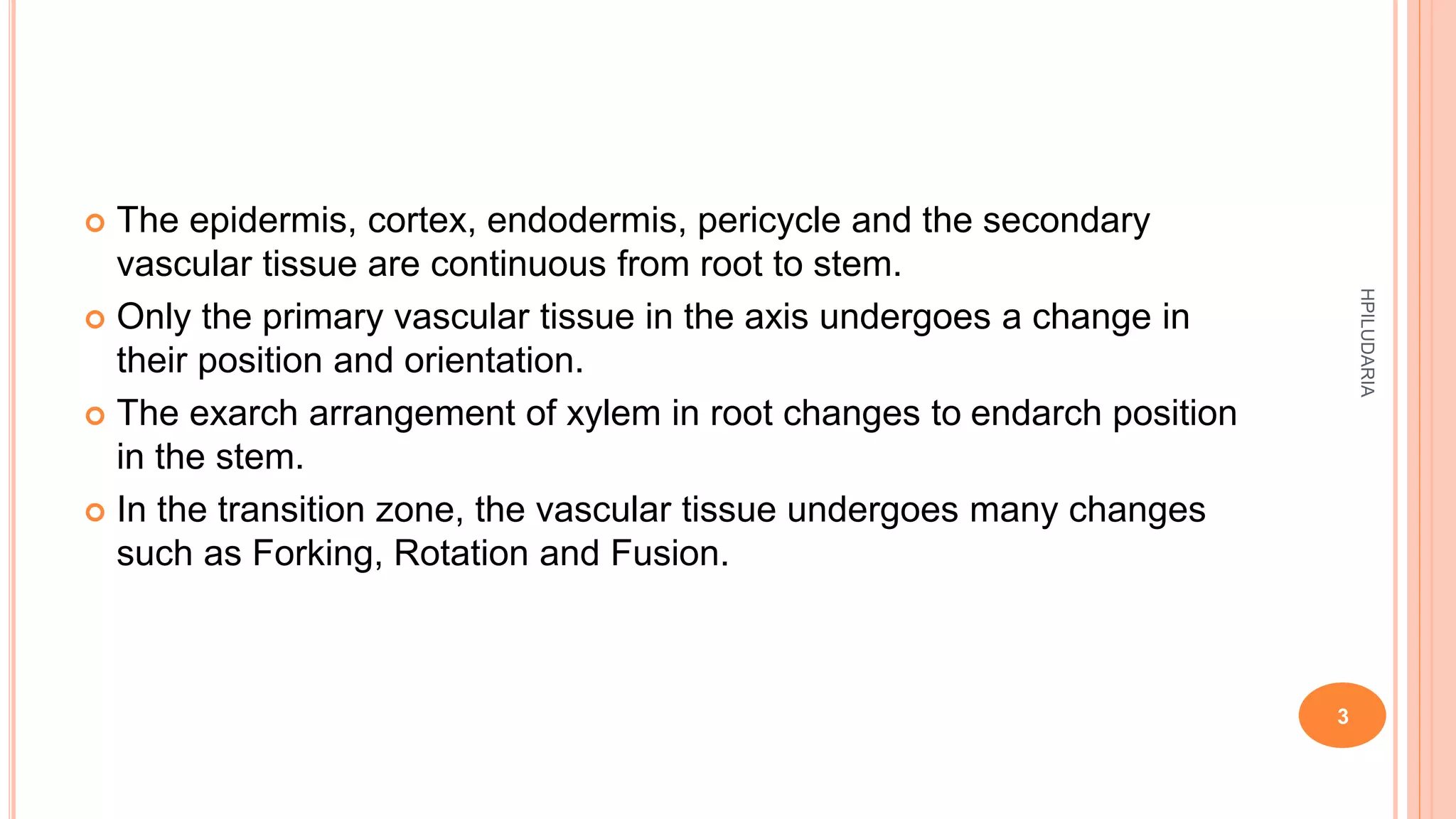 Root stem transition | PPTX