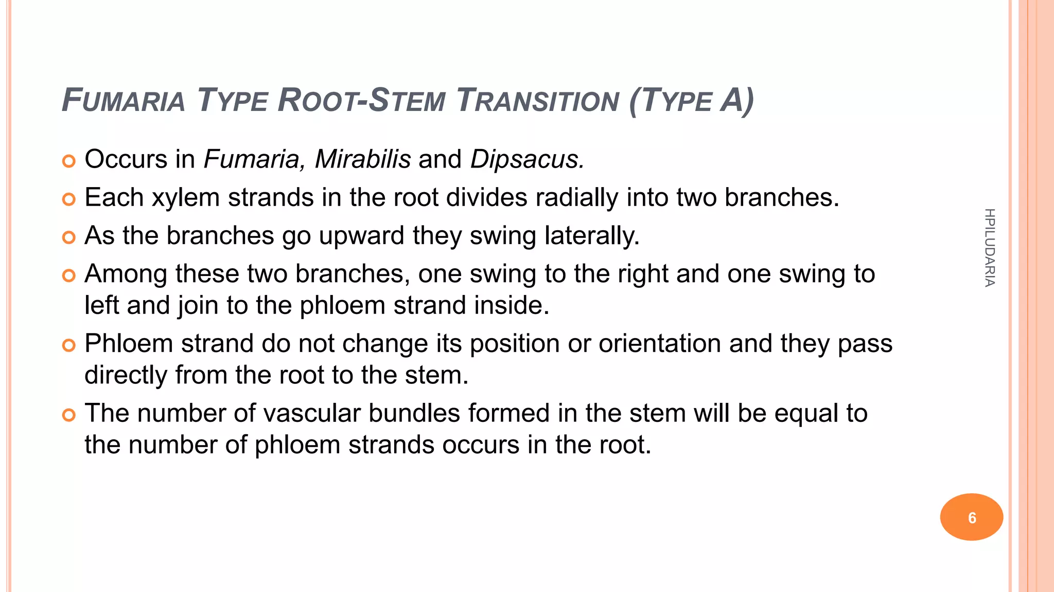 Root stem transition | PPTX