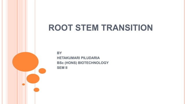 Root stem transition | PPTX | Gardening | Home & Garden