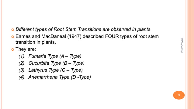 Root stem transition | PPTX | Gardening | Home & Garden