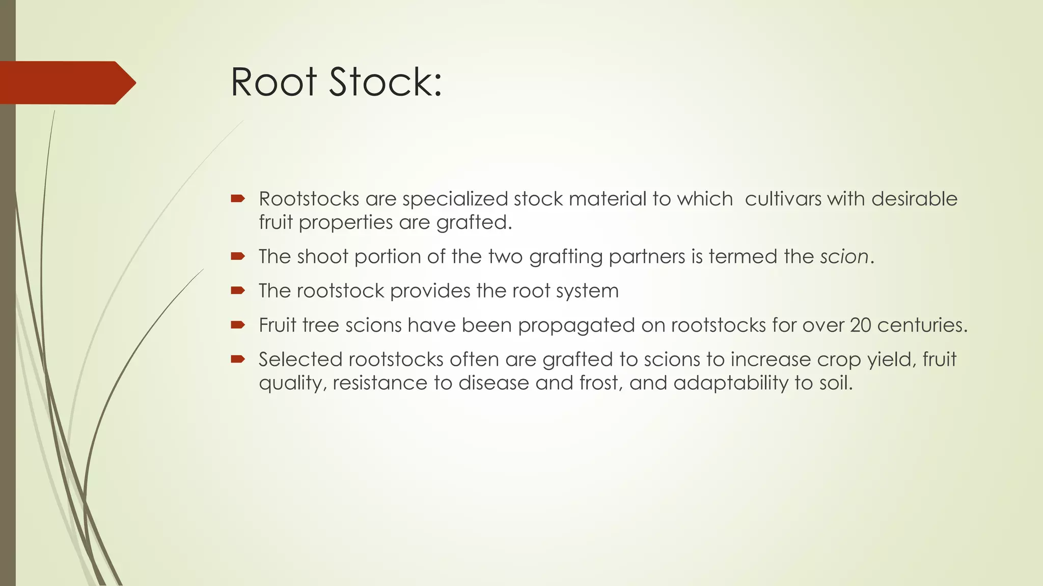 Rootstock and its impact on crop production | PDF