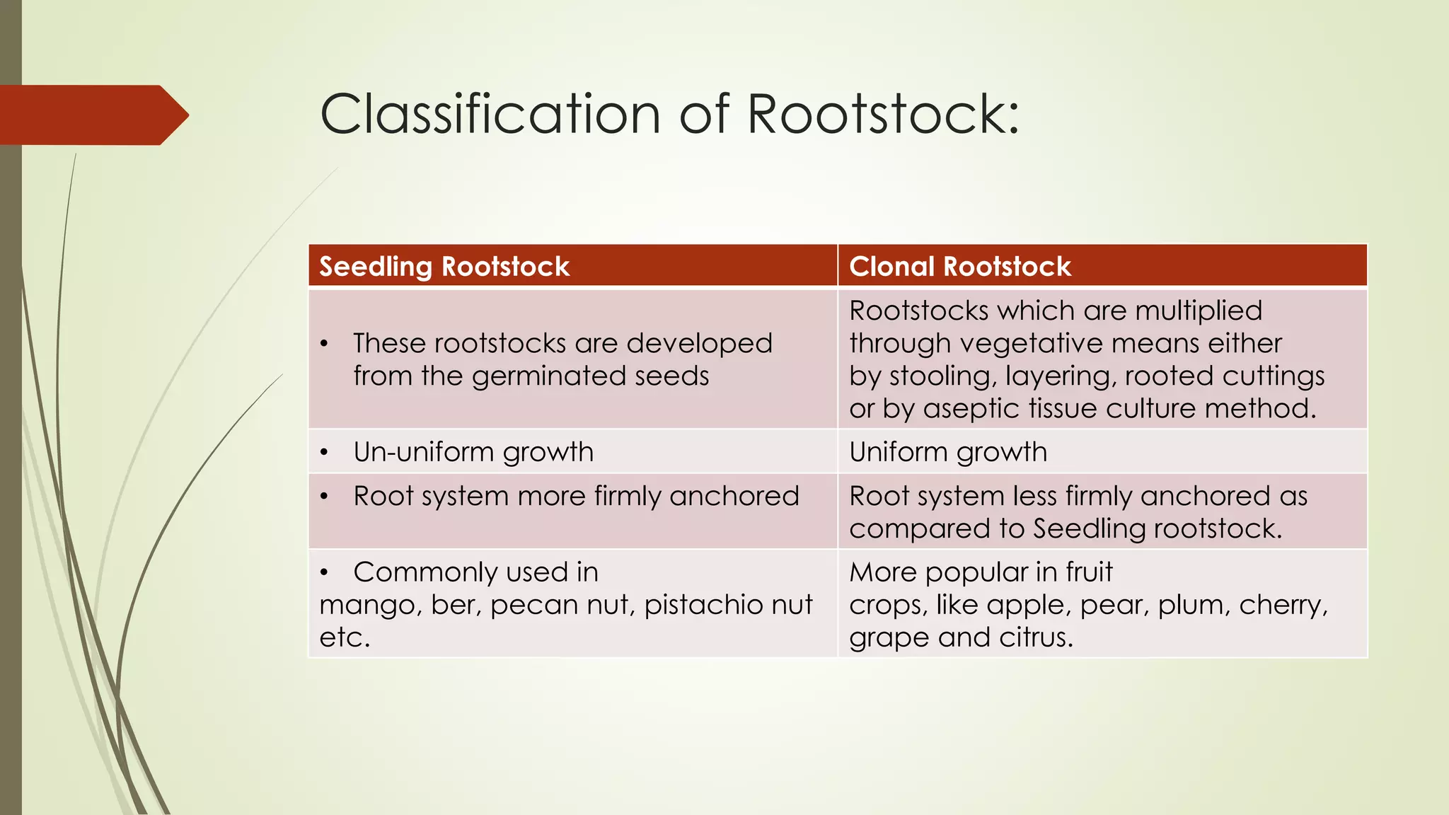 Rootstock and its impact on crop production | PDF