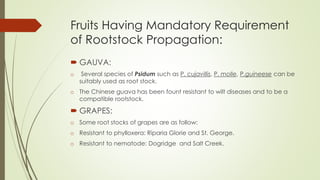 Rootstock and its impact on crop production | PDF