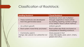 Rootstock and its impact on crop production | PDF