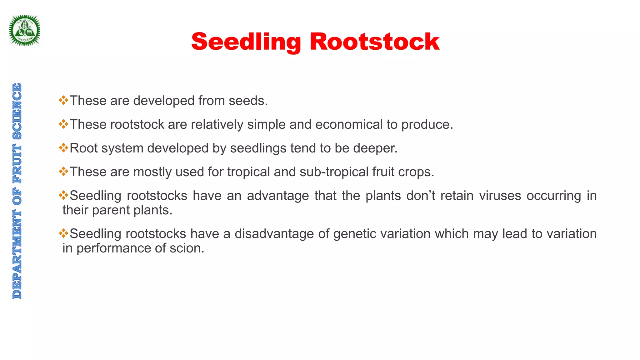 Rootstocks For Tropical and Subtropical Fruit Crops.pptx