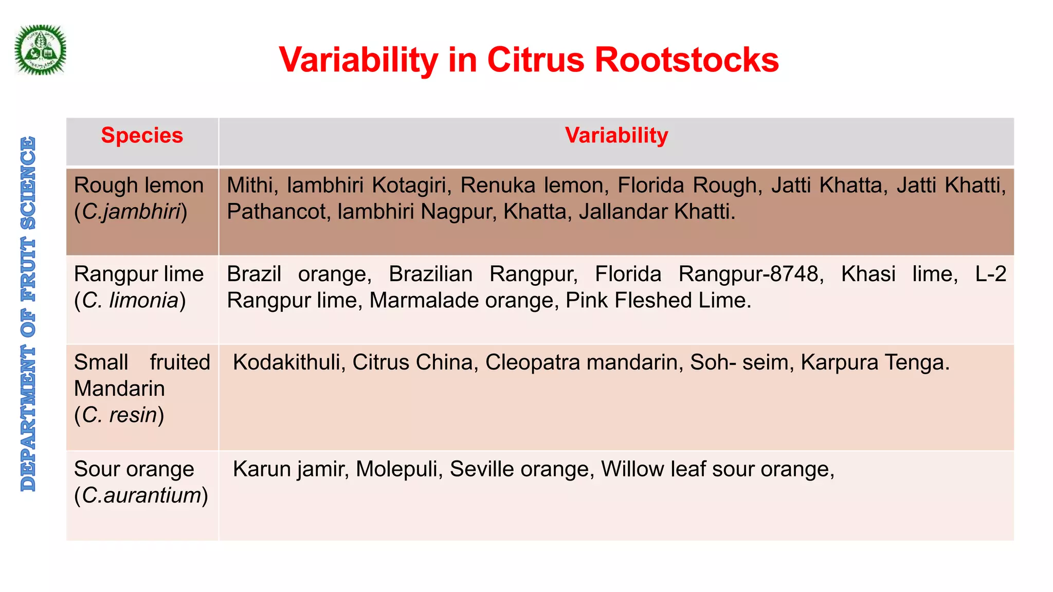 Rootstocks For Tropical and Subtropical Fruit Crops.pptx