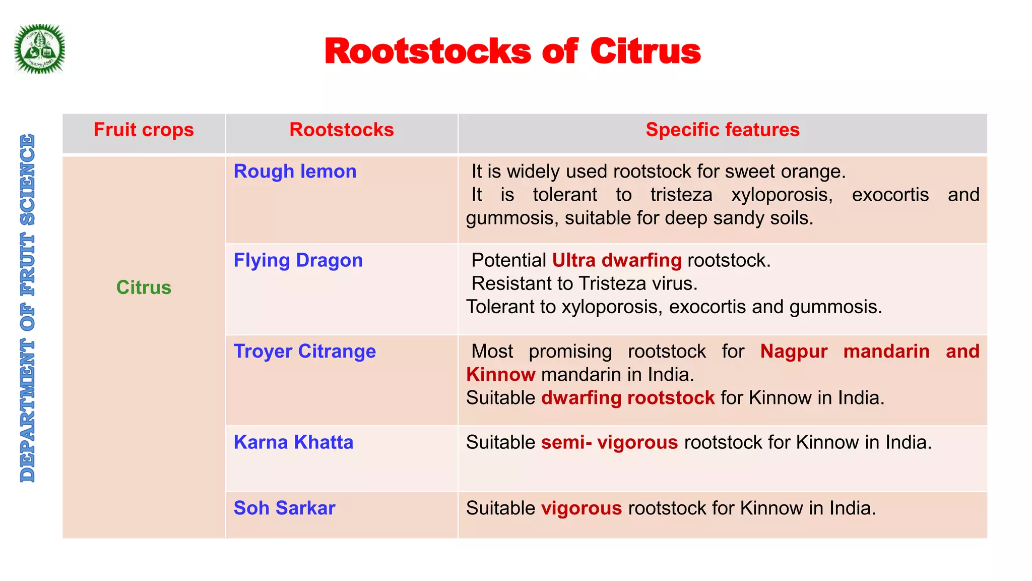 Rootstocks For Tropical and Subtropical Fruit Crops.pptx