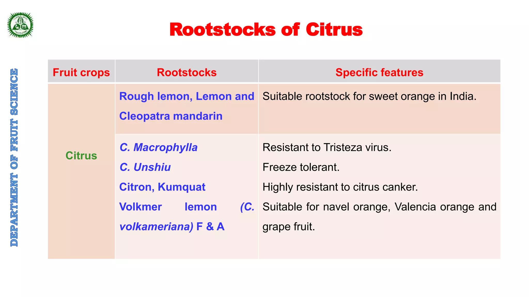 Rootstocks For Tropical and Subtropical Fruit Crops.pptx