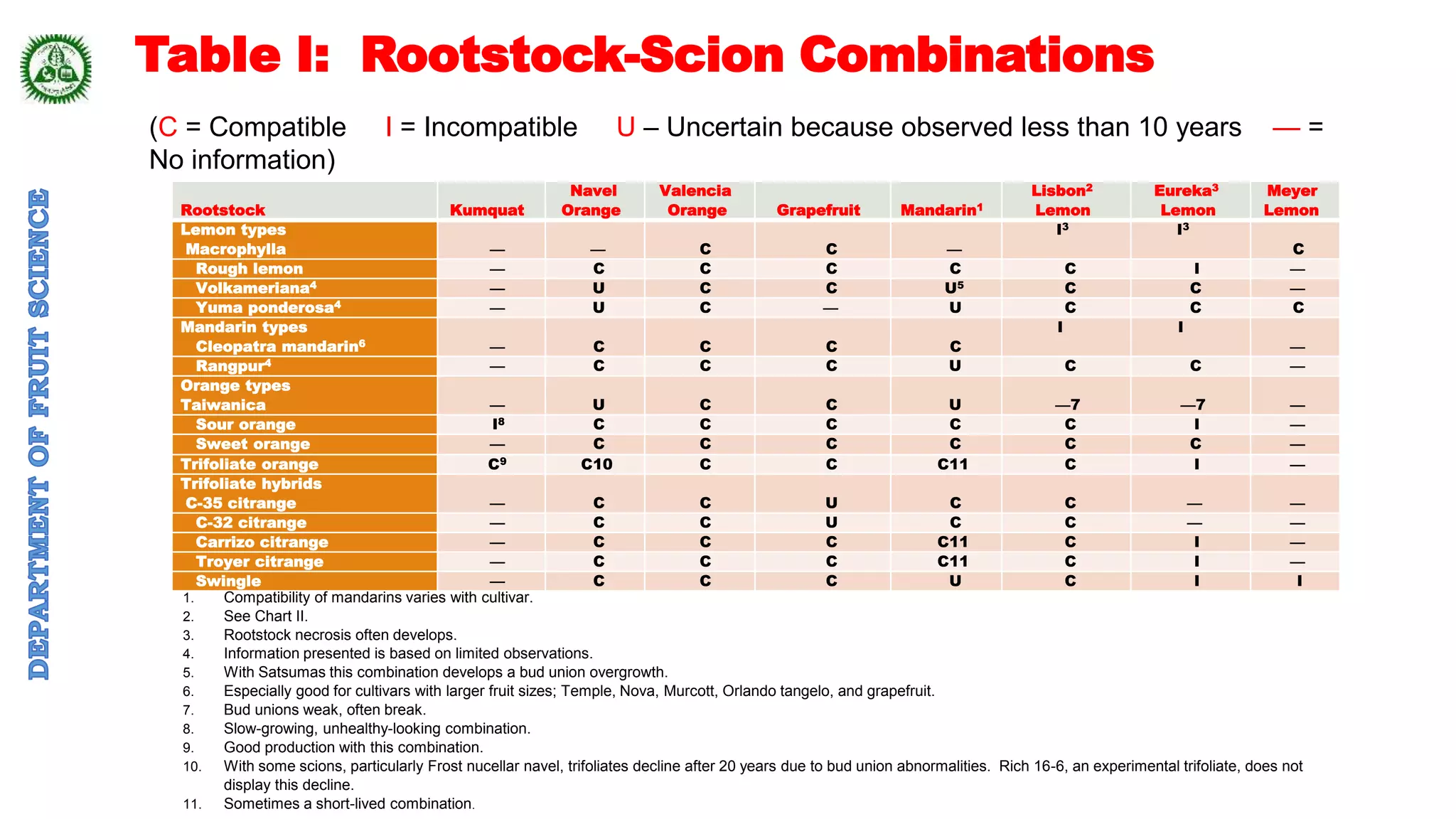 Rootstocks For Tropical and Subtropical Fruit Crops.pptx